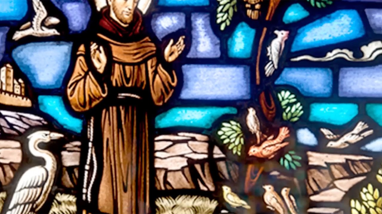 Brother Sun, Sister Moon: Pope Francis and the Meaning of Climate ...